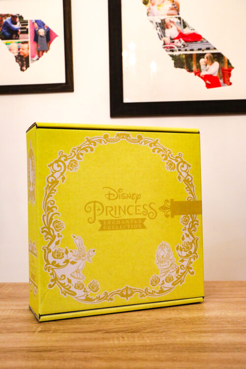 Disney Princess Subscription Box - Lipgloss and Crayons